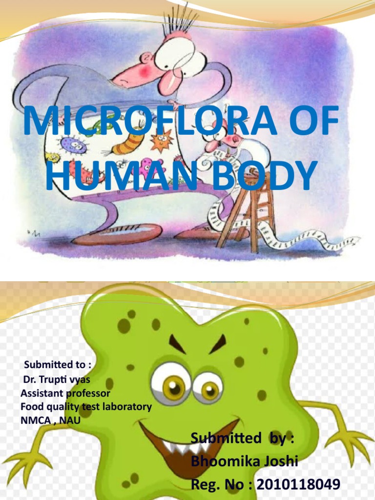Normal Microflora of Human Body | PDF | Skin | Respiratory Tract