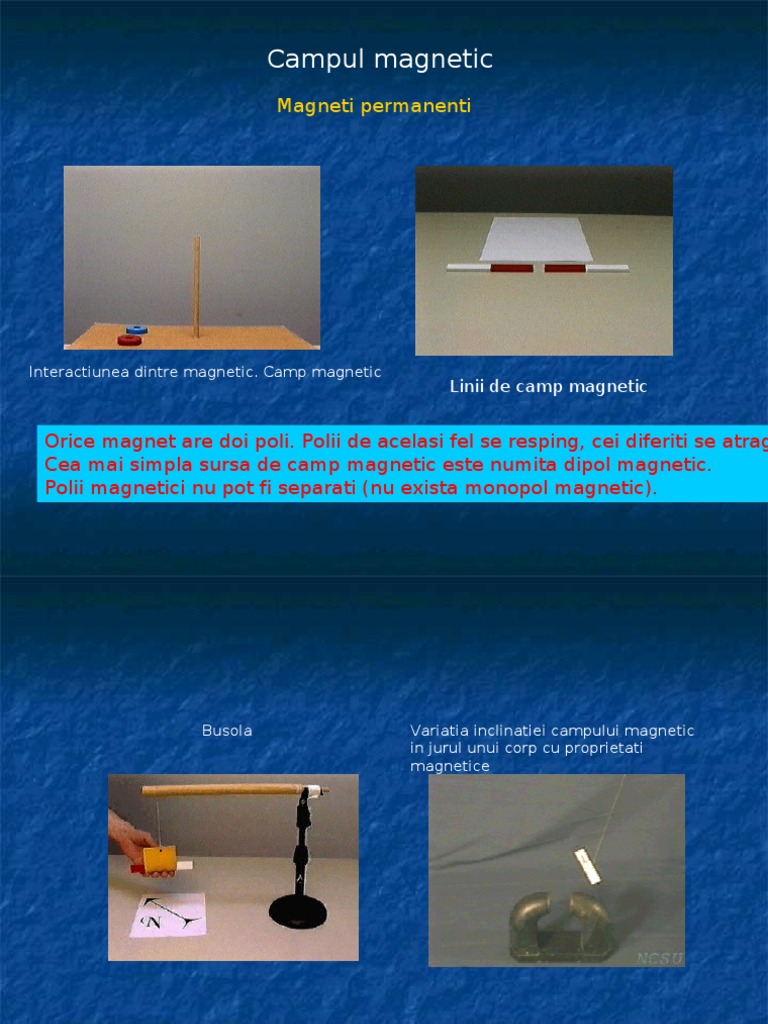 Campul Magnetic | PDF