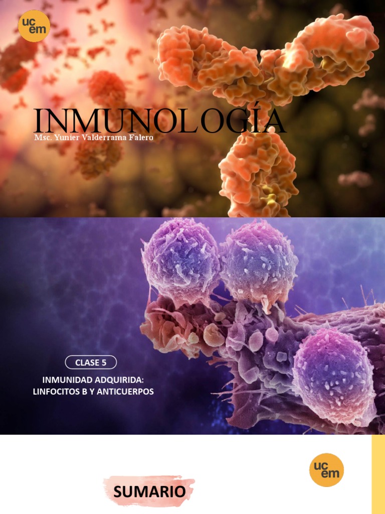 Inmunología. Clase 5. Inmunidad Adquirida. Anticuerpos. | PDF