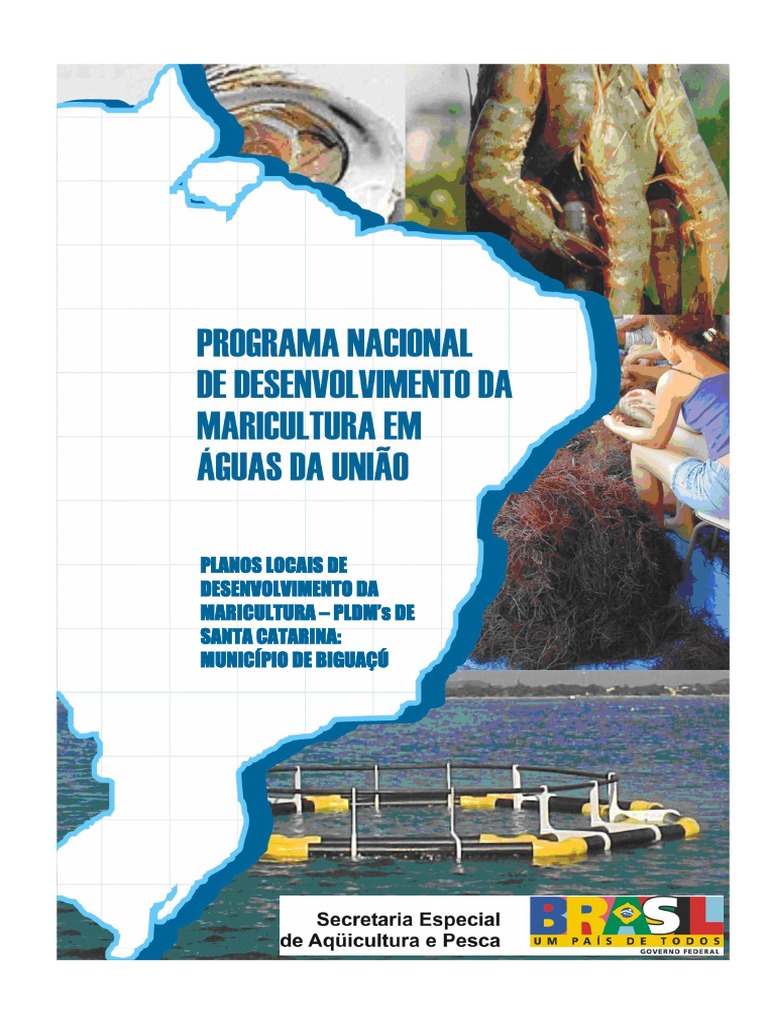 PLDM Biguacu | PDF