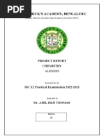 EVS Project Front Page | PDF