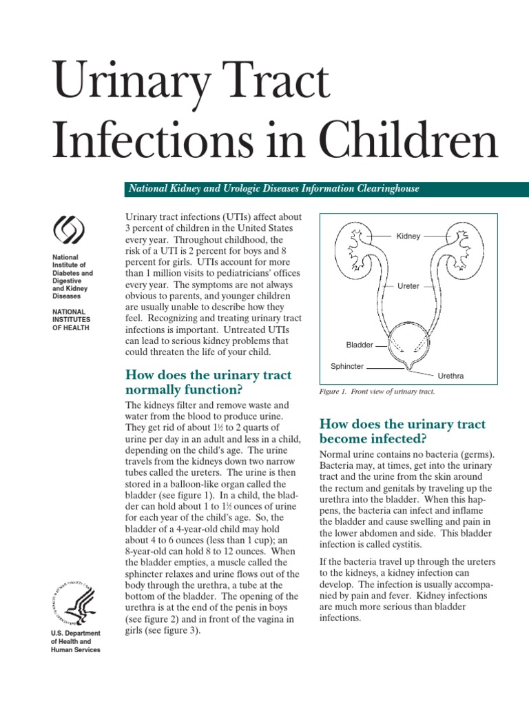 Urinary Tract Infections in Children | PDF | Urinary Tract Infection ...