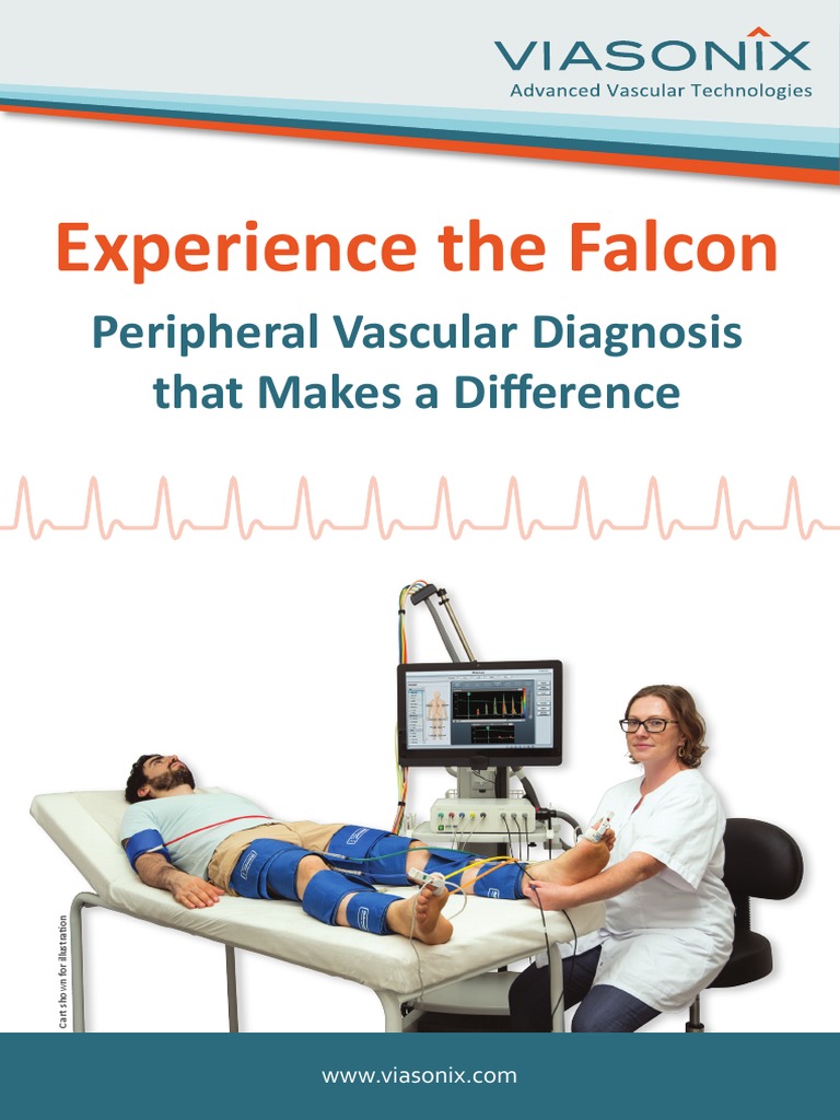 Falcon Pro: Advanced Vascular Diagnosis | PDF | Touchscreen | Computer ...