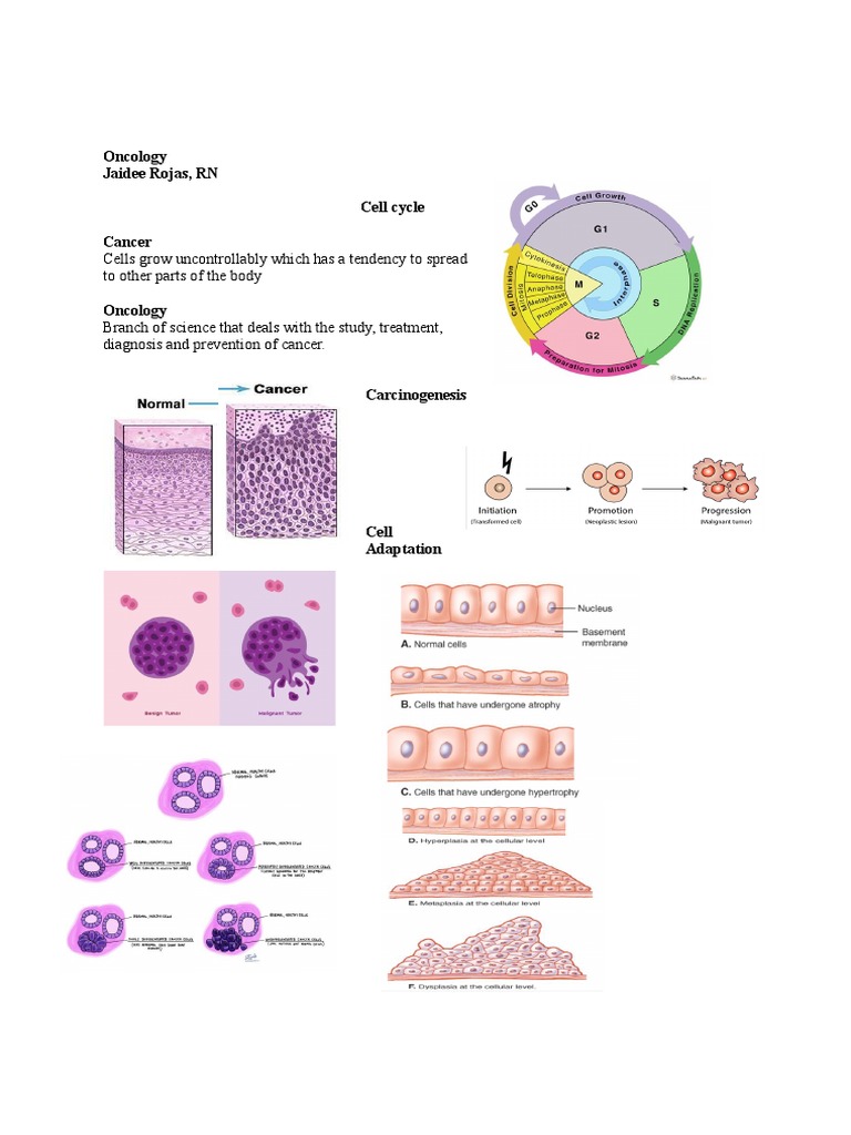 Oncology Handout 2023 | PDF | Cancer | Prostate