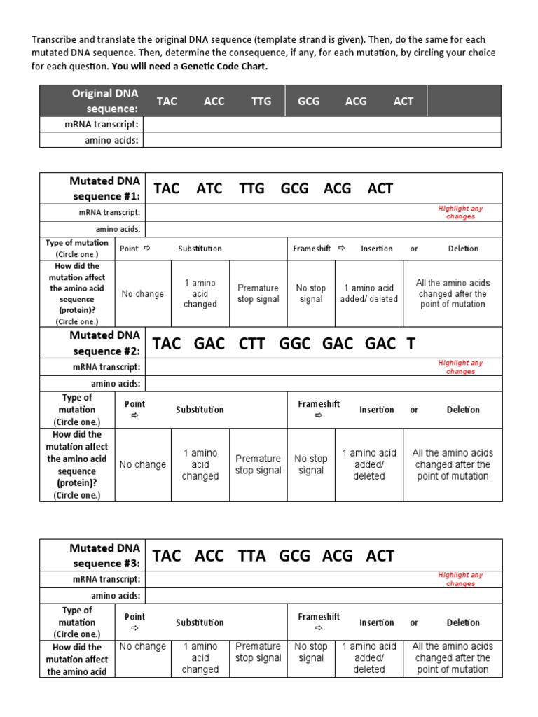 Genetic Mutations Practice Worksheet | PDF | Point Mutation | Mutation