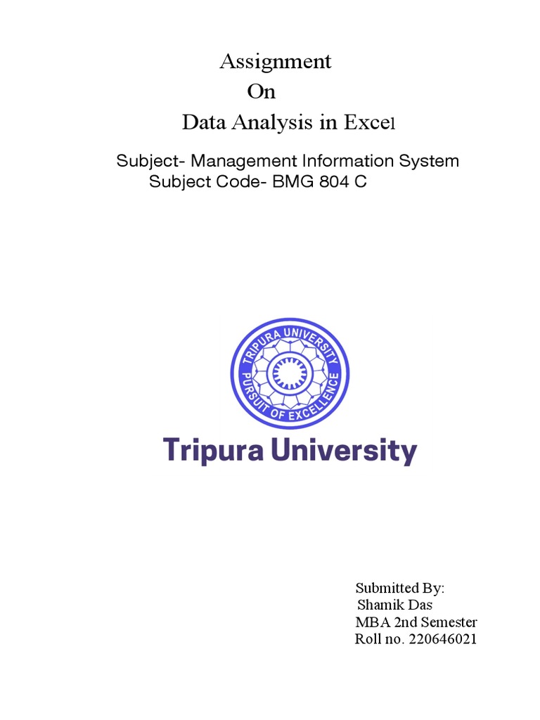 MIS Assignment | PDF | Microsoft Excel | Infographics