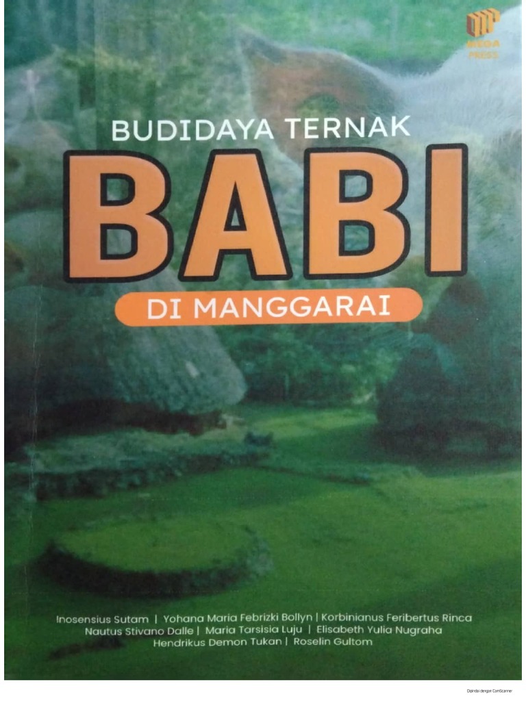 Budidaya Ternak Babi | PDF