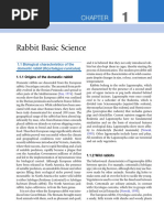 Osteology of The Goat | PDF | Vertebra | Vertebral Column