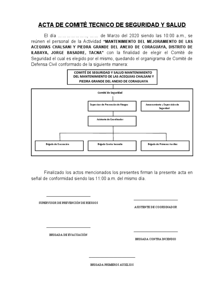 Acta de Comité Tecnico de Seguridad y Salud | PDF Acta de Comité Tecnico de Seguridad y Salud | PDF