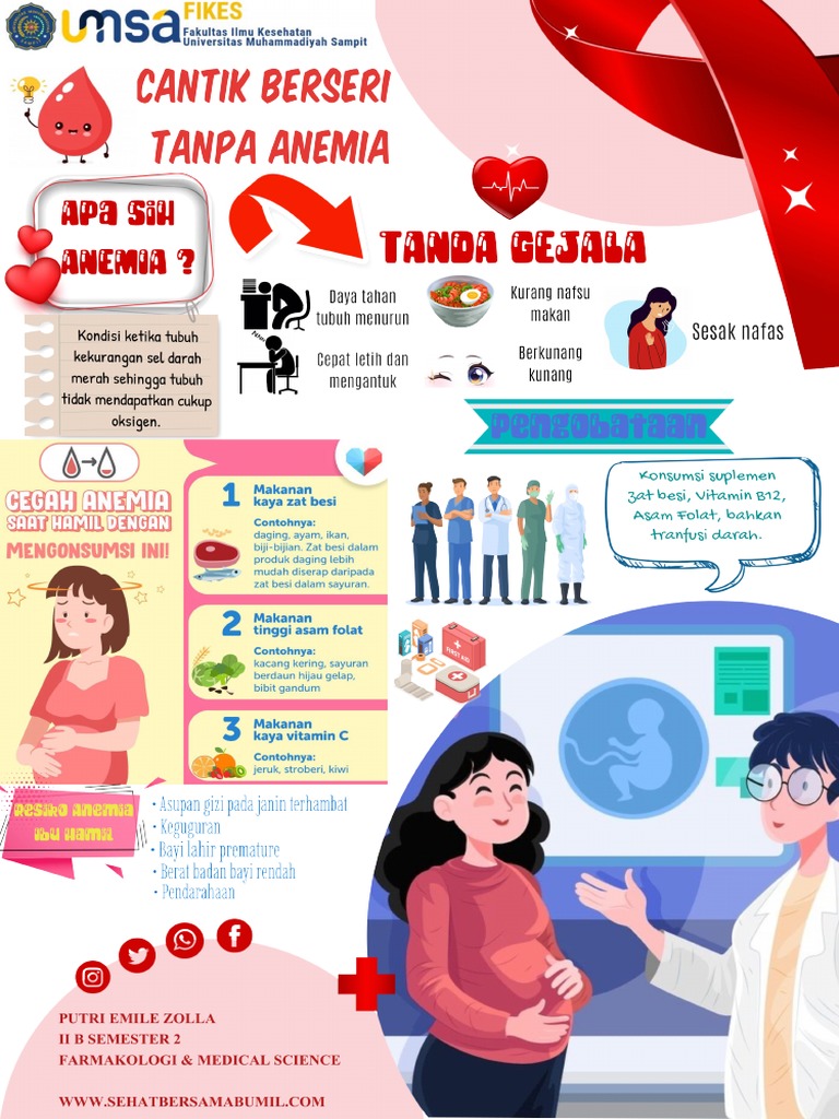 Poster Anemia Ibu Hamil | PDF
