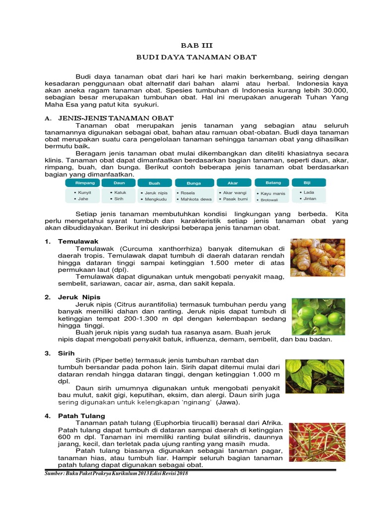 A. Jenis-Jenis Tanaman Obat | PDF | Griya & Taman | Kesehatan Holistik