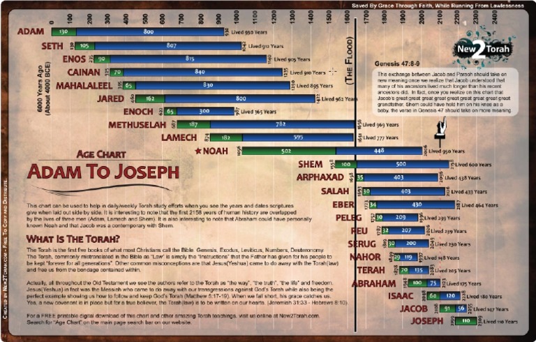 Age Chart | PDF