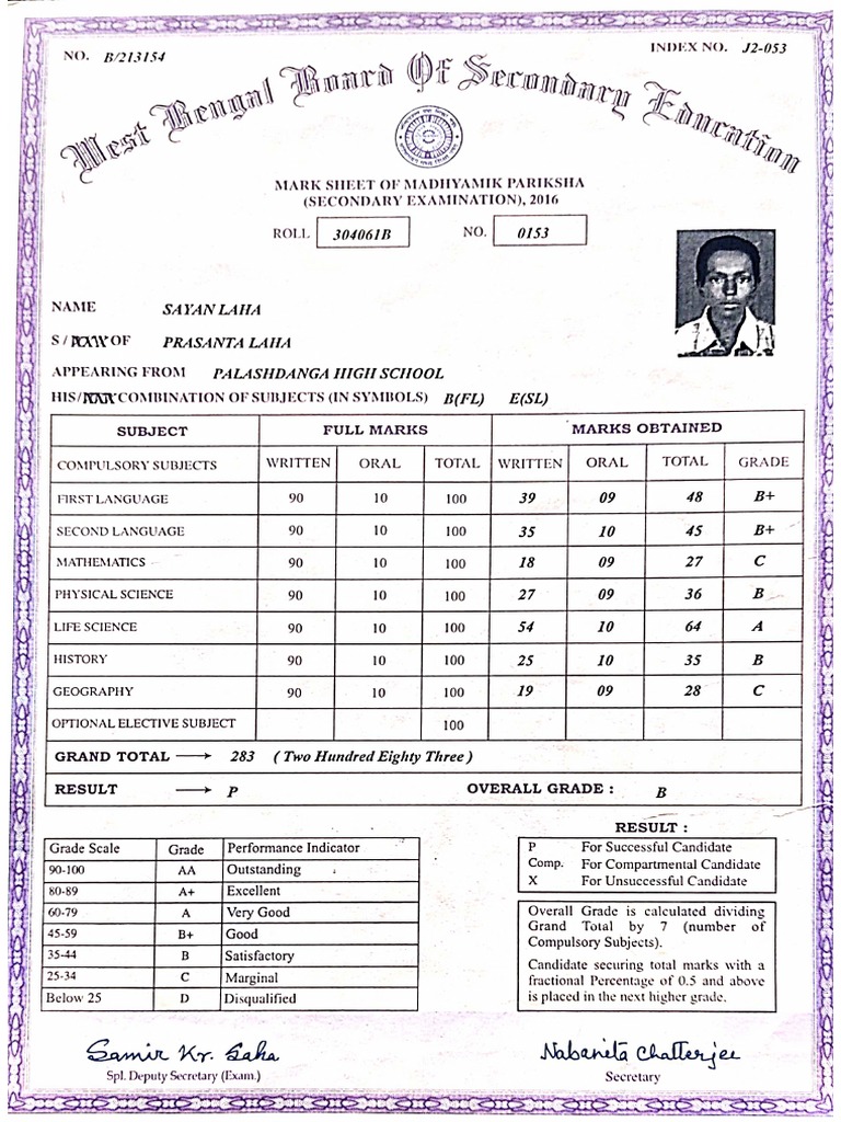 MP Marksheet of Sayan | PDF