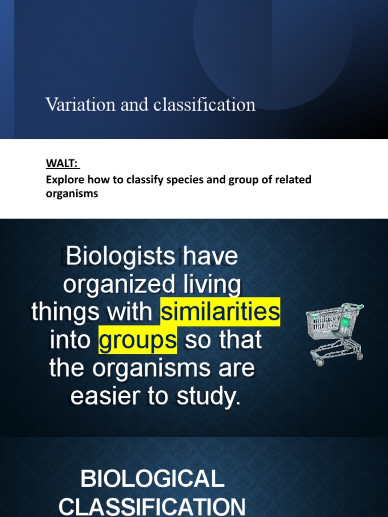 Variation and Classification | PDF | Science & Mathematics
