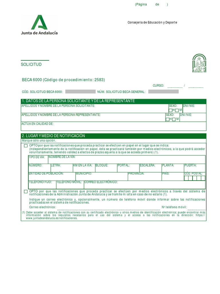 Solicitud de Beca 6000 Andalucía | PDF