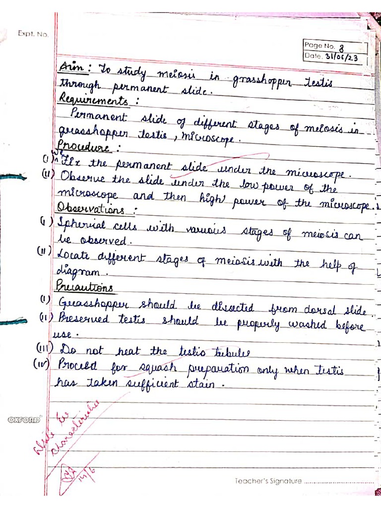 Meiosis In Grasshopper Testis Pdf