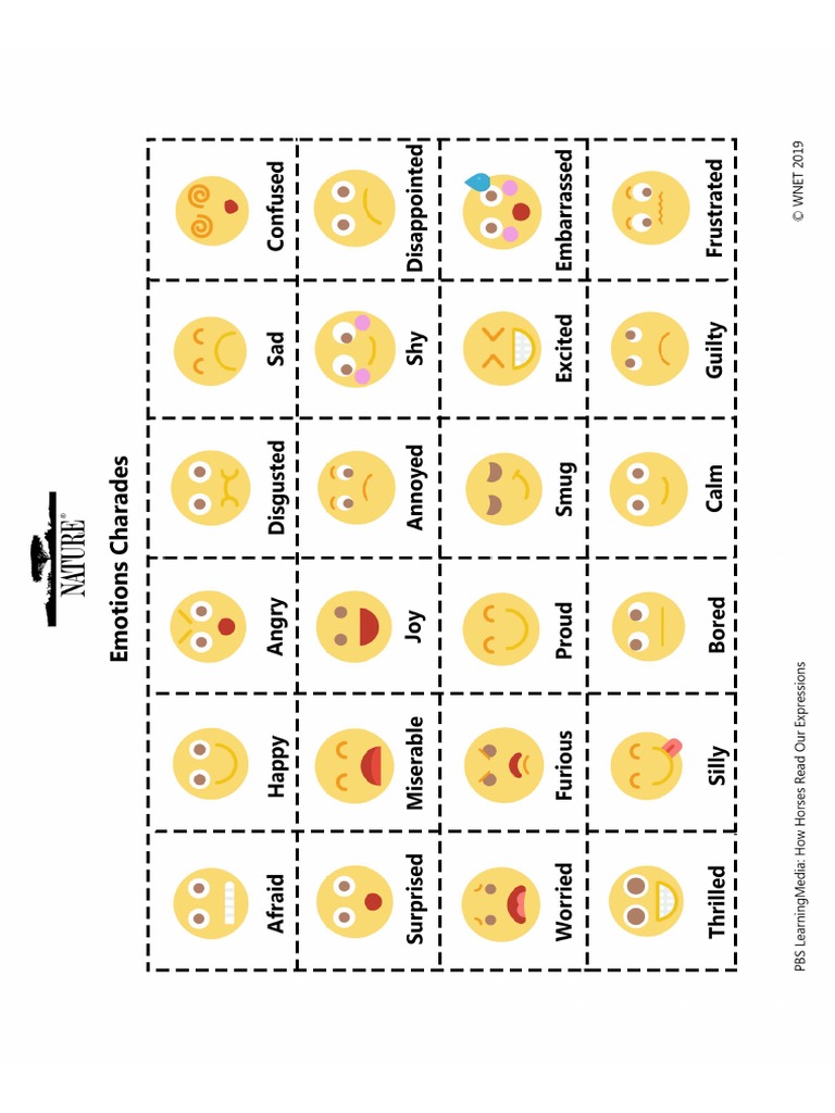 Emotions Charades | PDF