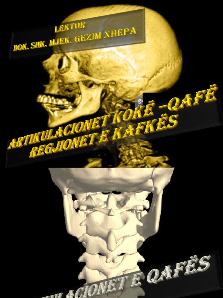 Leksioni 23 + 24 - Artikulacionet Koke-Qafe Dhe Regjionet e Kafkes ...