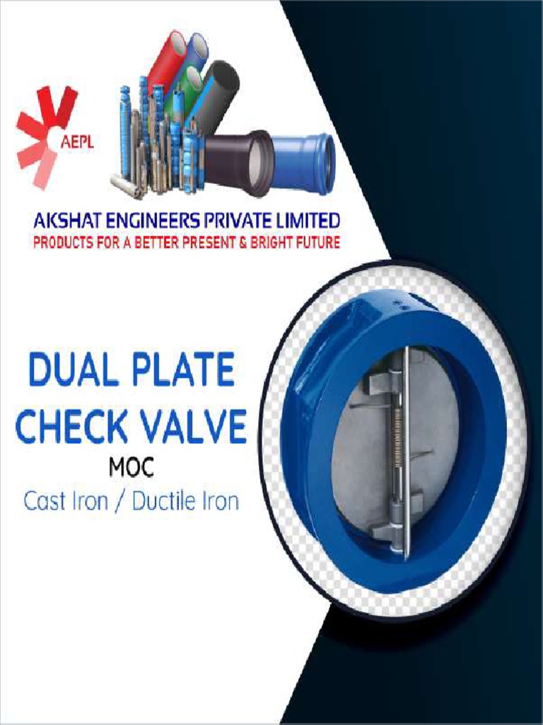 Dual Plate Check Valve | PDF