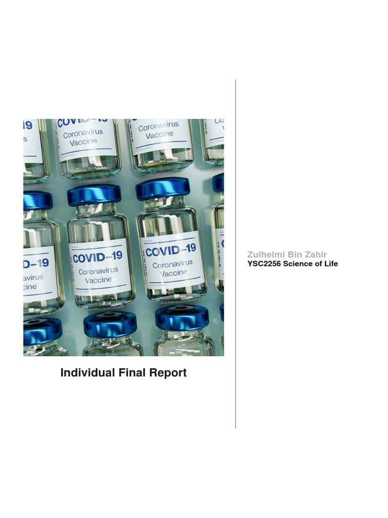 Individual Report | PDF