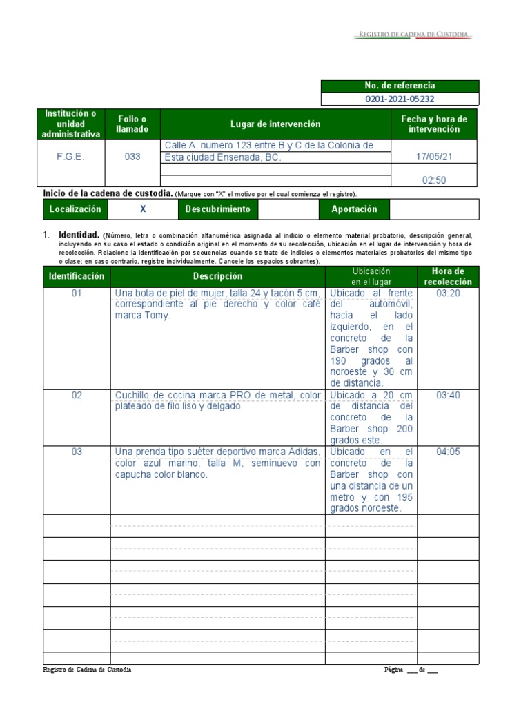 Registro de Cadena de Custodia de La Guía Nacional de CC-1 | PDF