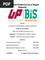 Manual Procedimientos IDSE IMSS Extendido | PDF | Java (lenguaje de ...