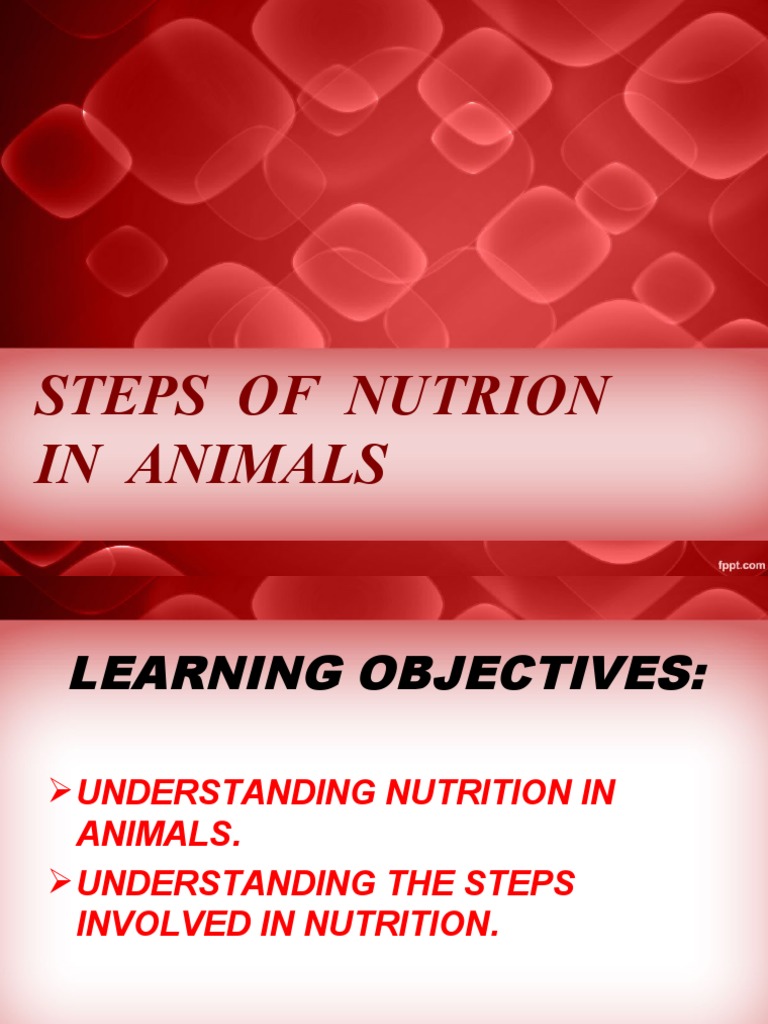 Steps of Nutrition | PDF | Digestion | Nutrition