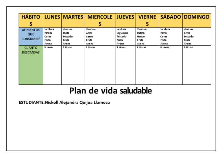 Ficha Plan de Vida Saludable | PDF
