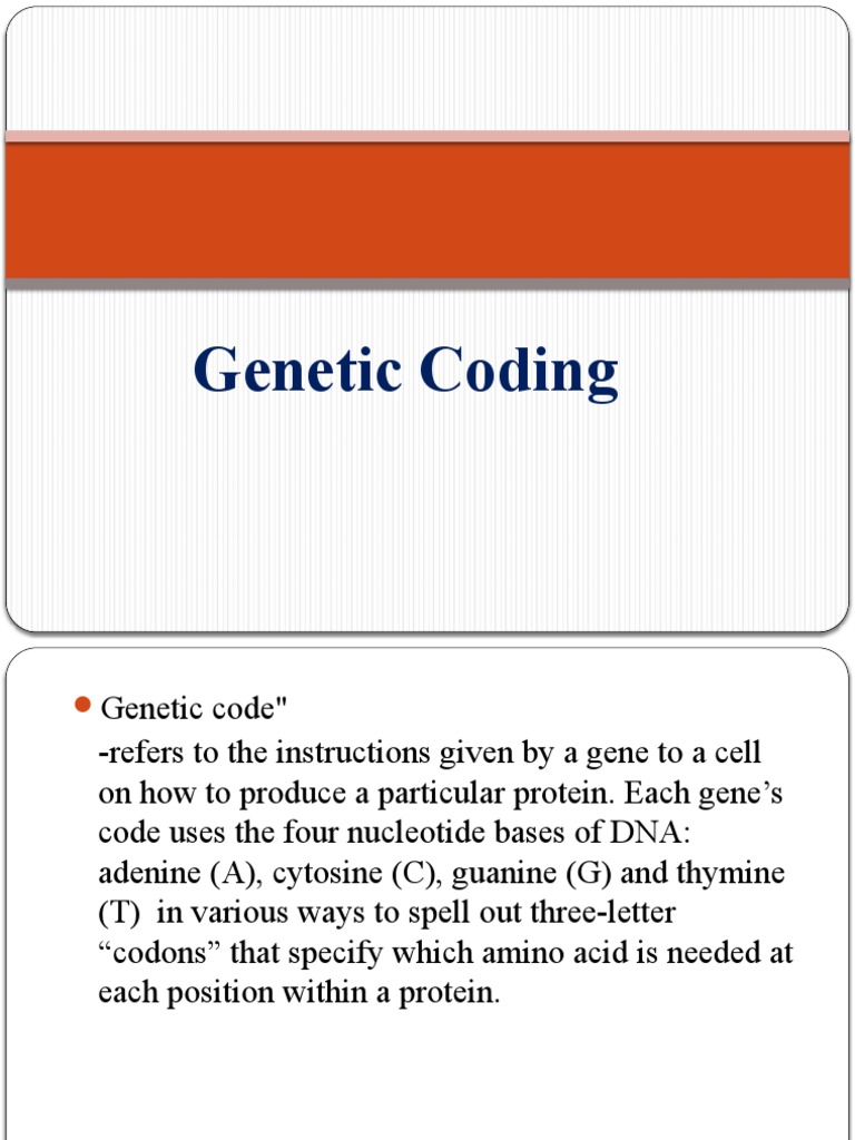 Genetic Code and Mutation Report | PDF