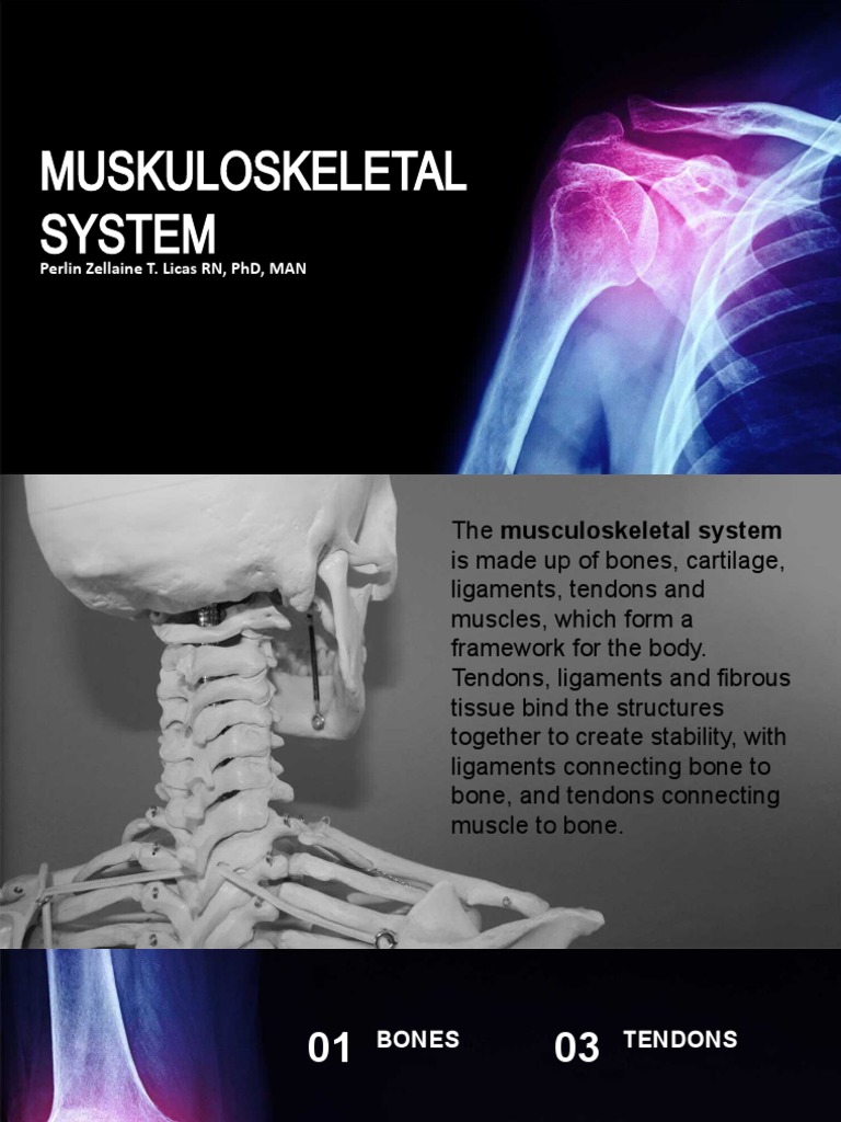 Musculoskeletal System Guide | PDF | Human Musculoskeletal System | Bone