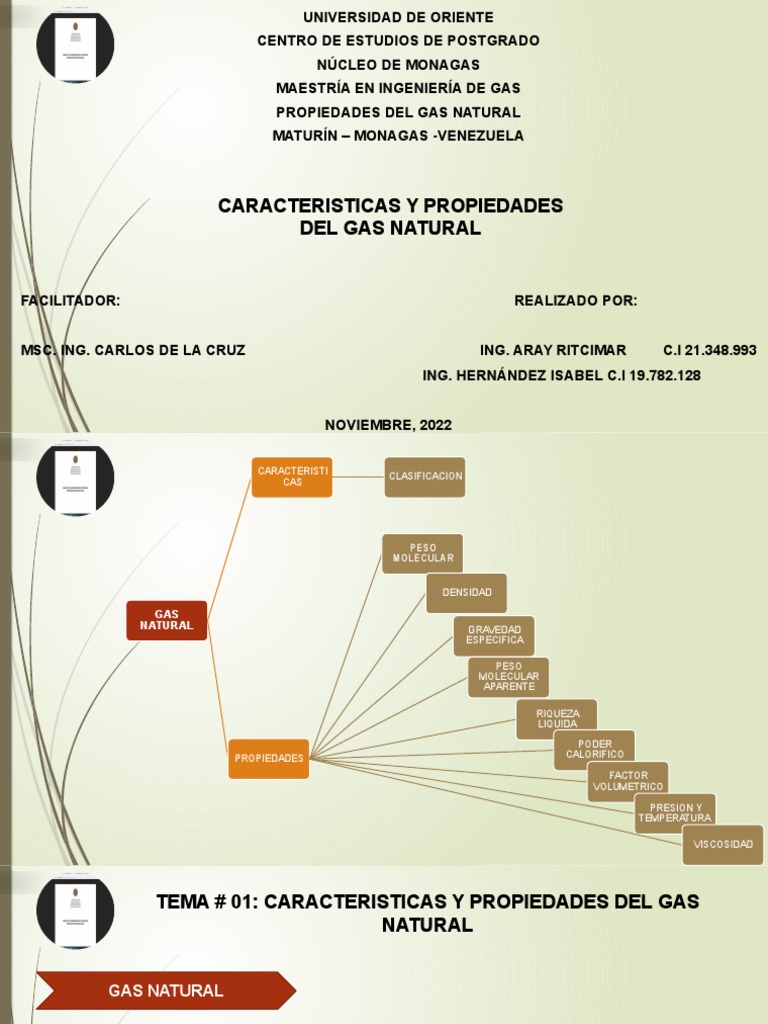 Características y propiedades del gas natural | PDF | Gas natural | Gases