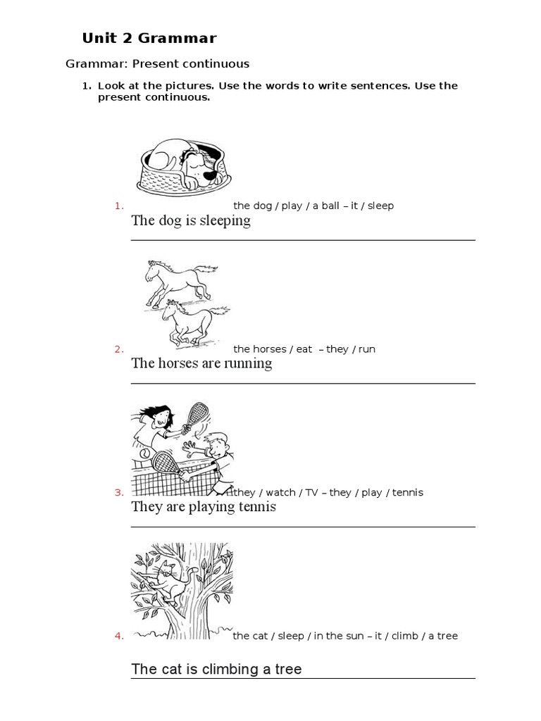 Project Unit 2 Grammar | PDF