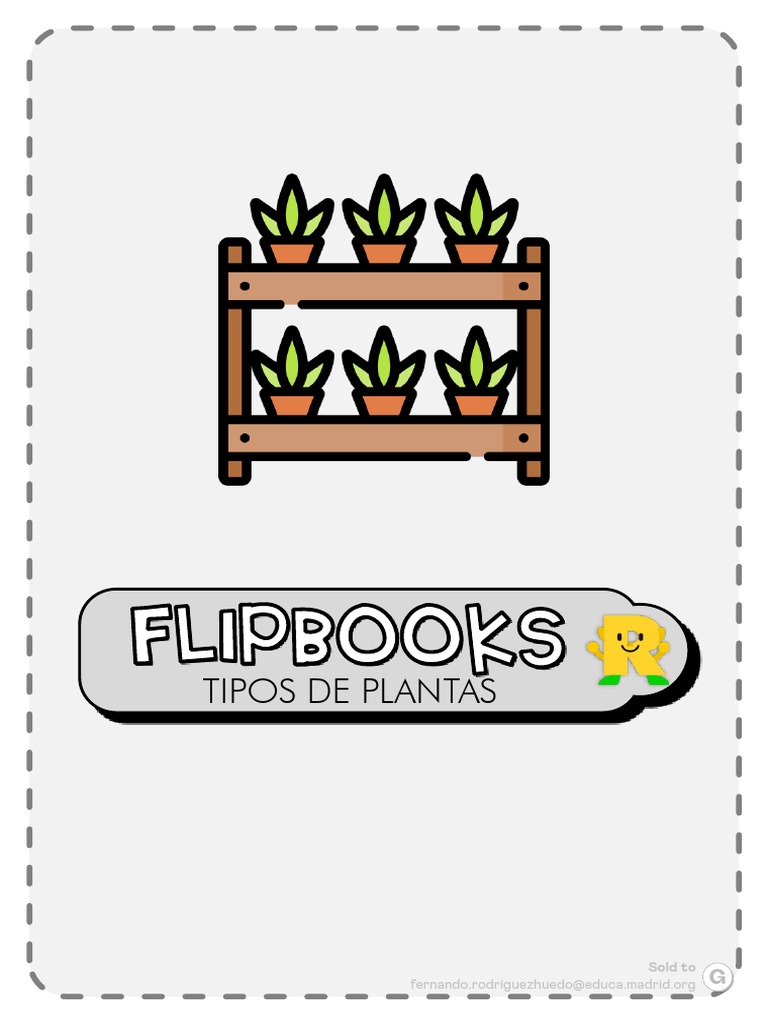 Flipbook Las Plantas TIPOS Recursosep BYN | PDF | Tallo de la planta | Hoja