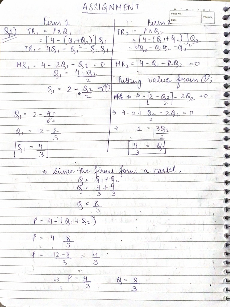 Micro Assignment | PDF