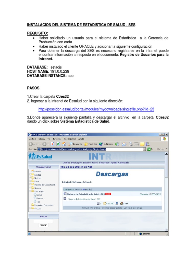 Manual Instalacion Ses | PDF | Archivo de computadora | Tecnologías de la información
