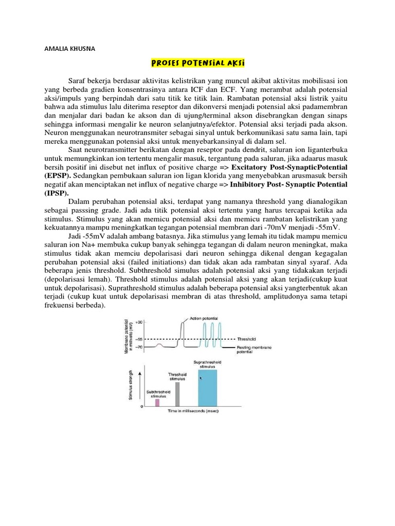 Proses Potensial Aksi Faal | PDF