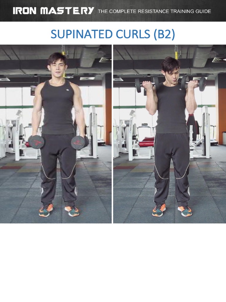 B2 Supinated Curls | PDF