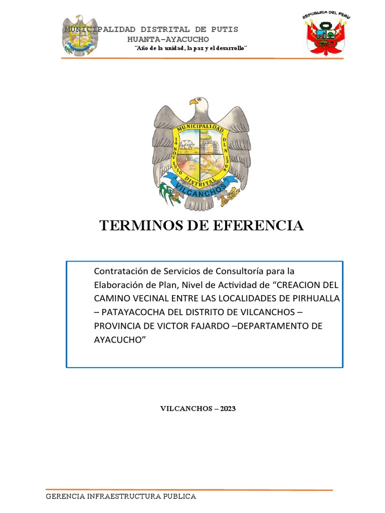 Ok TDR Plan de Actividad Pirhualla-Patayacocha | PDF | Presupuesto | Infraestructura