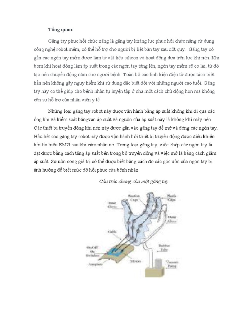 T NG Quan Găng Tay PH C H I CH C Năng | PDF