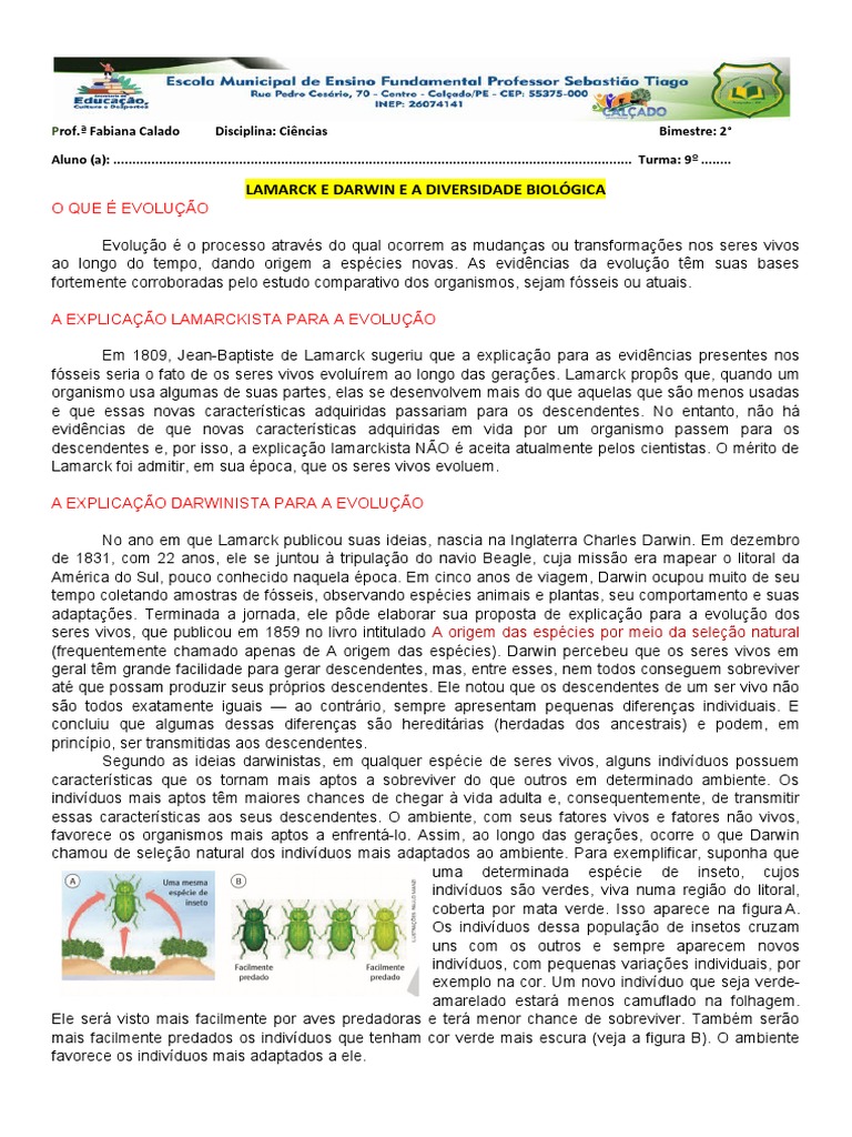 Aula 9 Ano Lamarck e Darwin | PDF
