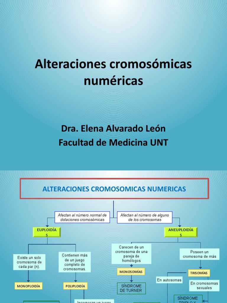 Alteraciones Cromosómicas Numéricas | PDF | Mitosis | Genética