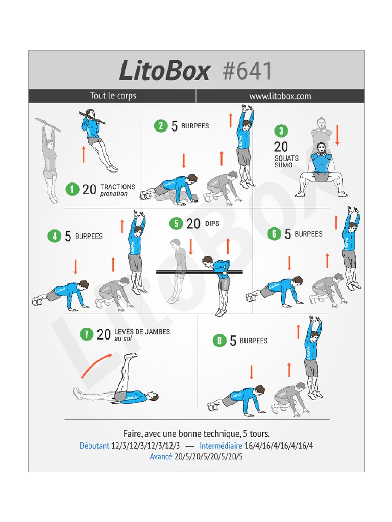 Litobox Circuit 641 | PDF