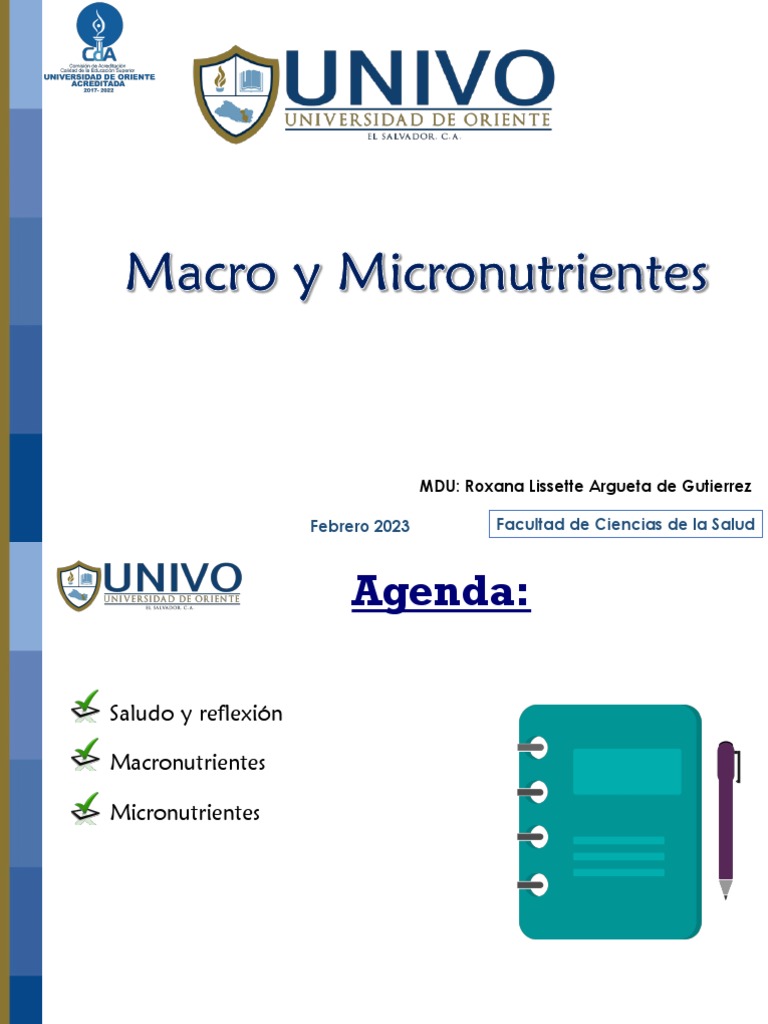 Macronutrientes y Micronutrientes: Guía Esencial | PDF