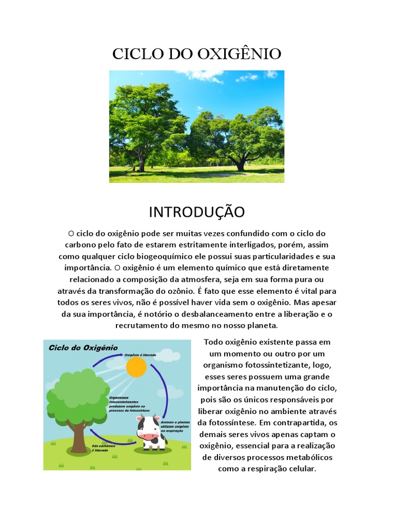 Ciclo Do Oxigênio | PDF