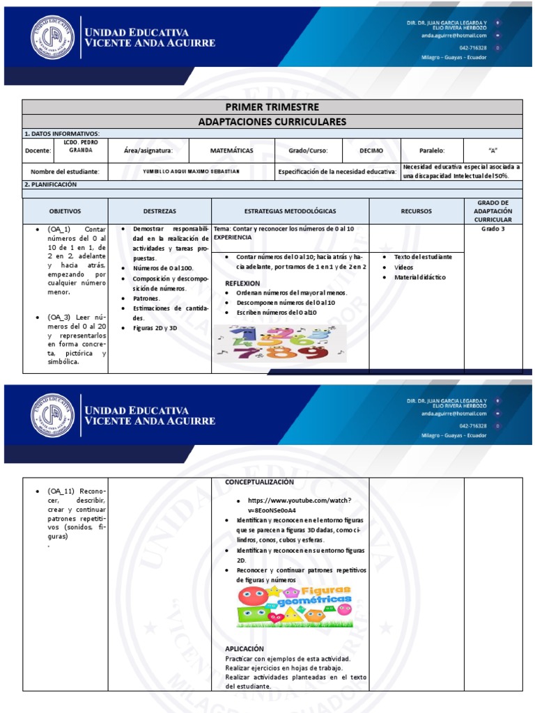 Planificación NEE. Matematicas | PDF | Aprendizaje | Cognición