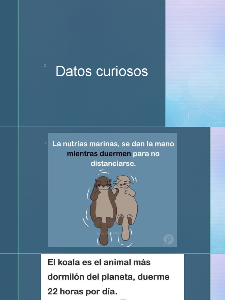 Datos curiosos sobre animales | PDF