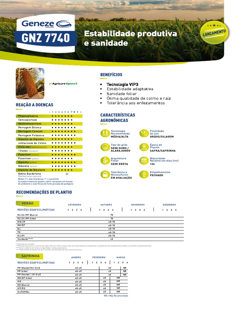 Milho Geneze 7740: Estabilidade e Sanidade | PDF