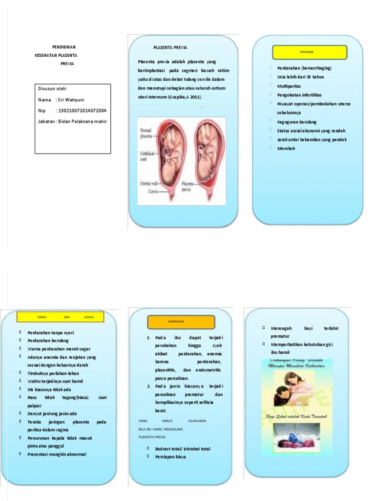 Plasenta Previa Leflet | PDF