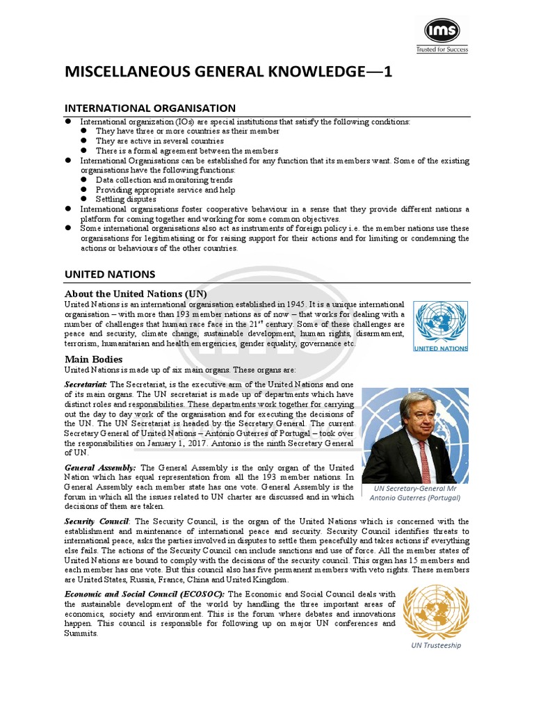 Overview of International Organizations | PDF | United Nations ...
