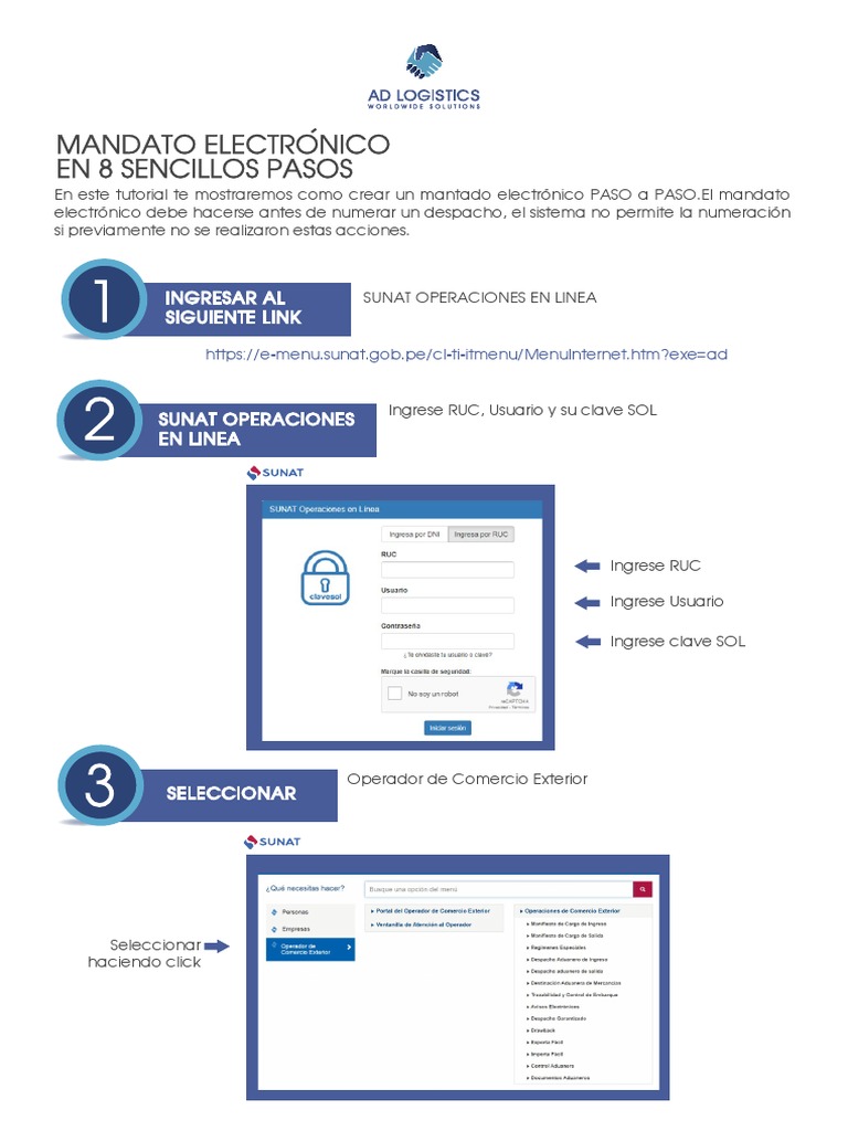 Manual - Mandato Electronico | PDF